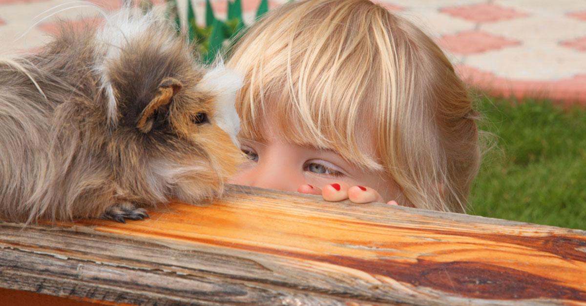 Kinder und Haustiere - Baby.at